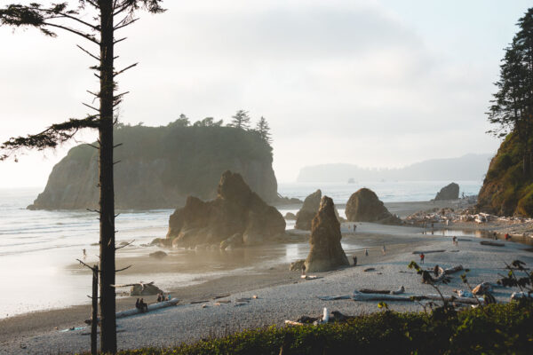 11 BEST Beaches in The PNW