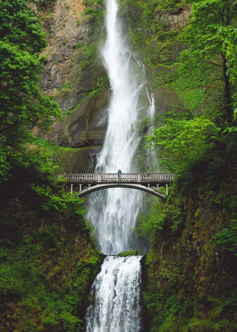 15 Hikes in The PNW With MINDBLOWING Views