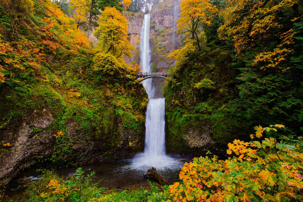 Fall in the PNW: Where to Go Leaf Peeping + a MAP!