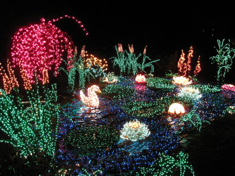 Best PNW Towns with the Most Festive Holiday Lights